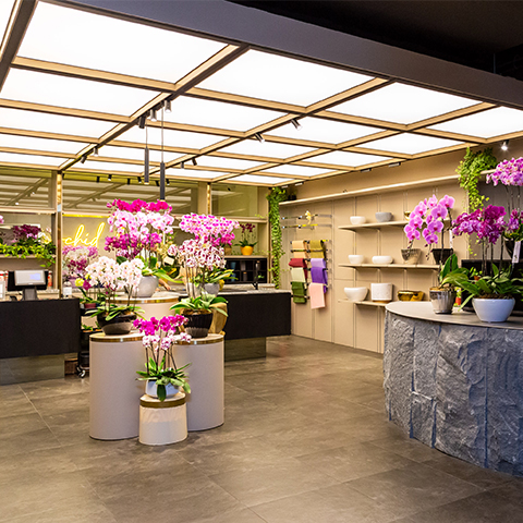 DIRECTORY | Bangsar Shopping Centre