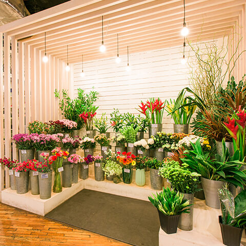 DIRECTORY | Bangsar Shopping Centre